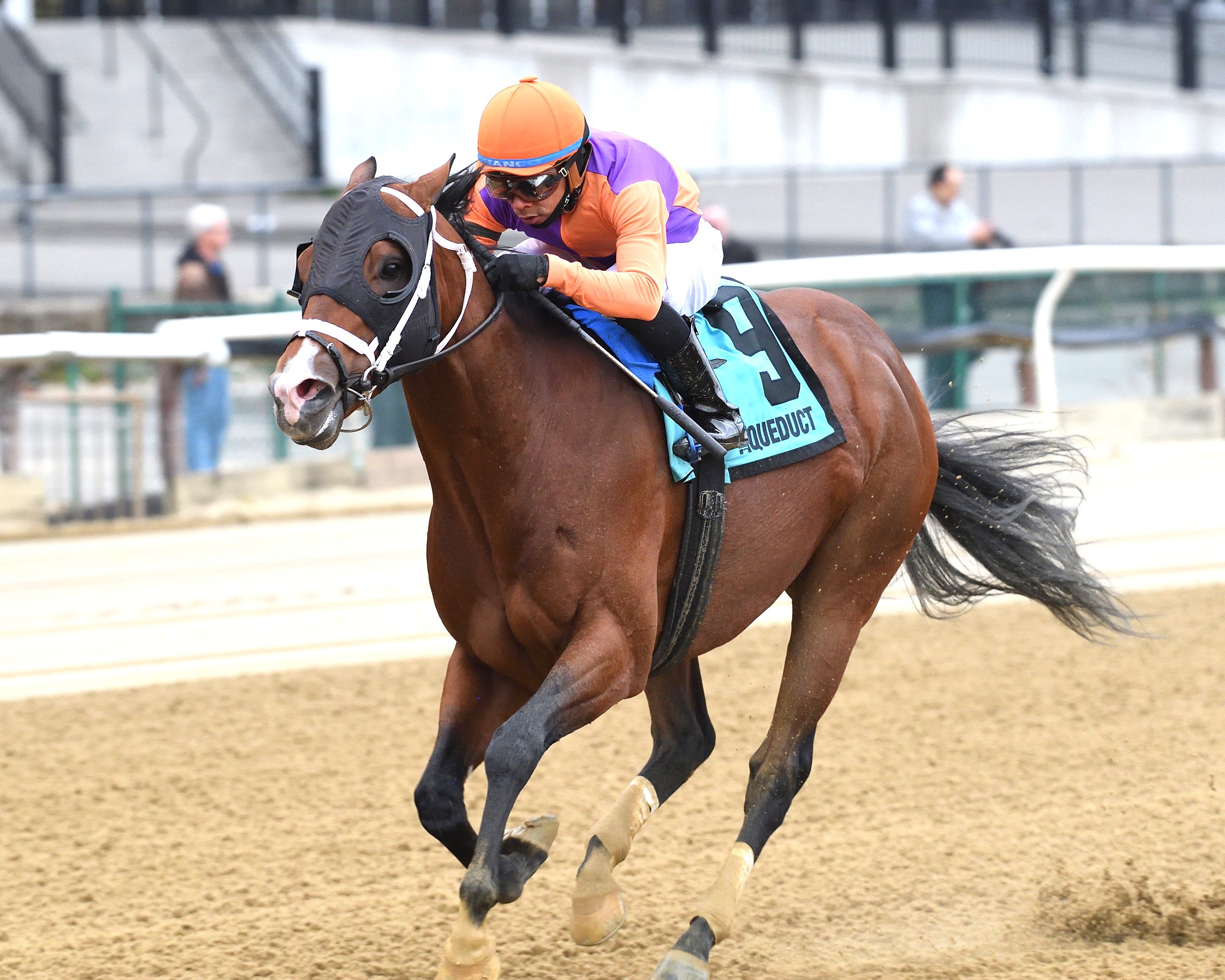 Cox eyeing Middle East stakes for Giant Mischief